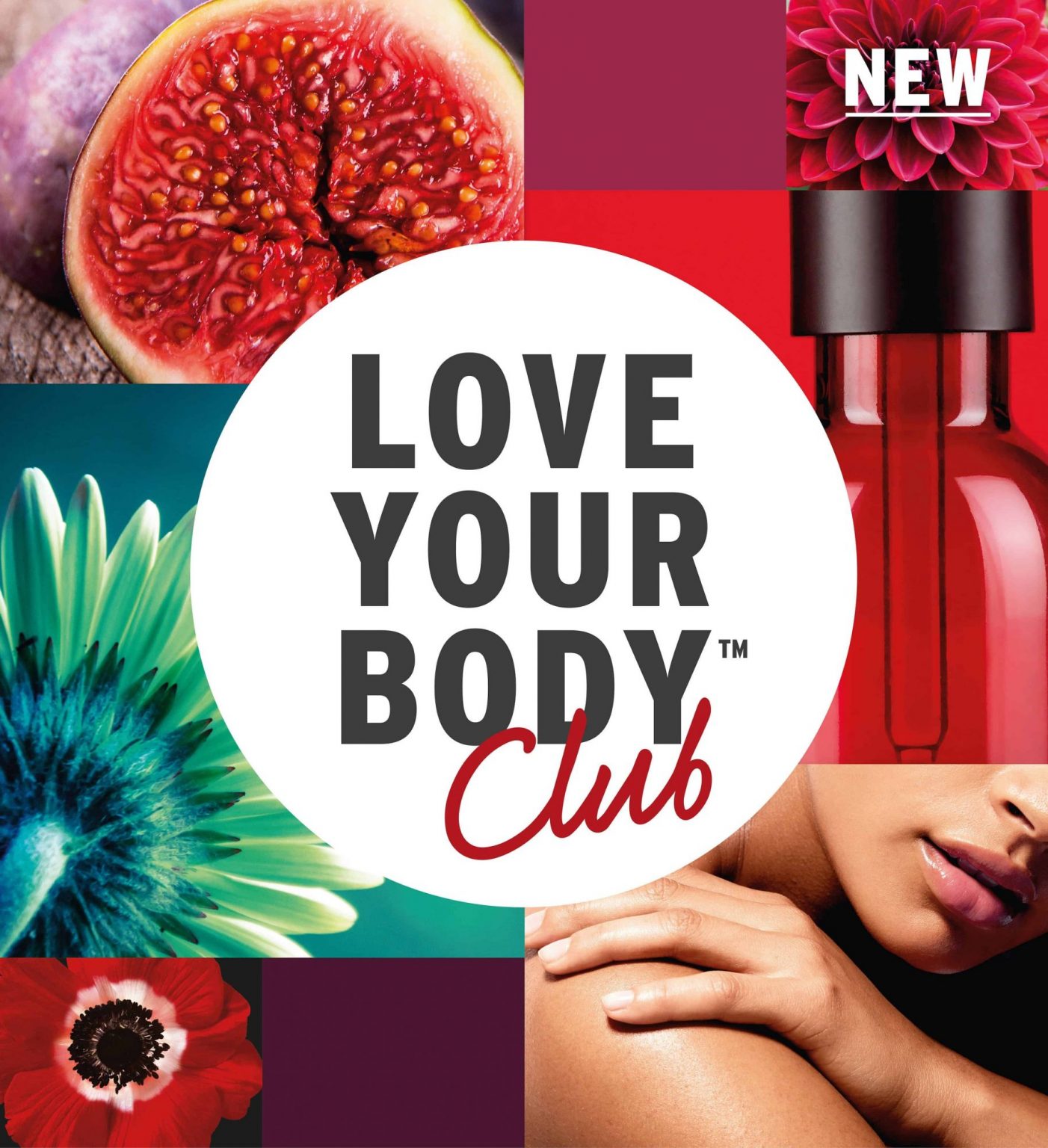 The Body Shop Marketing Strategy | ContactPigeon Blog