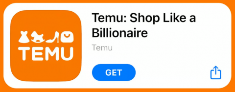 Temu Marketing Strategy: A Case Study of the Trending eCommerce Star ...