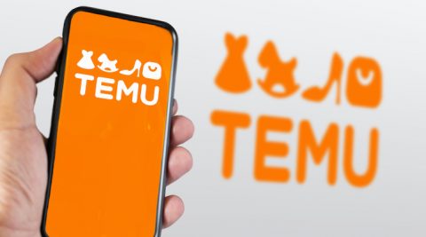 Temu Marketing Strategy: A Case Study of the Trending eCommerce Star ...