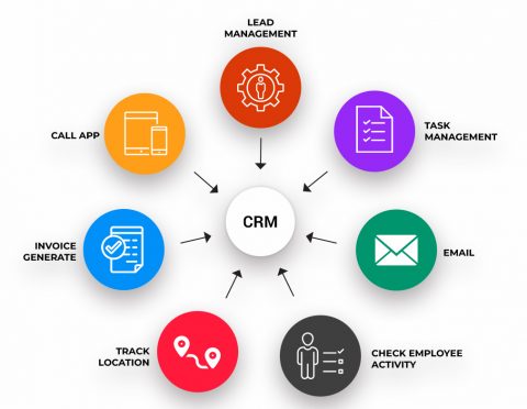 CDP vs CRM: Difference and benefits for a retailer | ContactPigeon