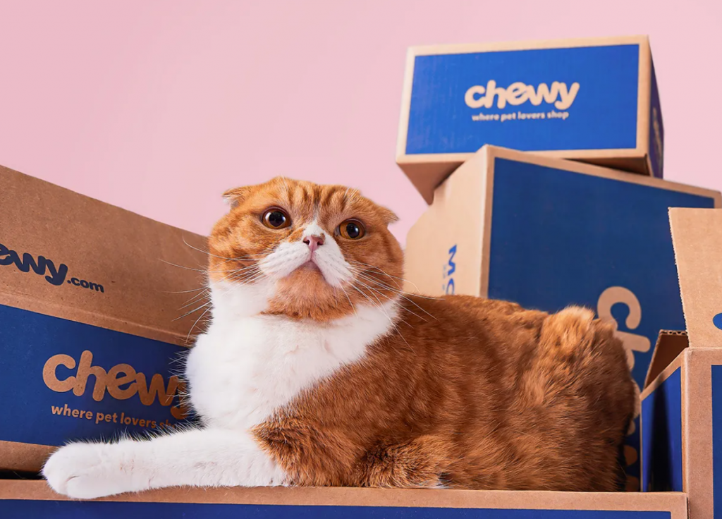 Chewy Marketing Strategy: How the Pet Retailer Redefined Growth