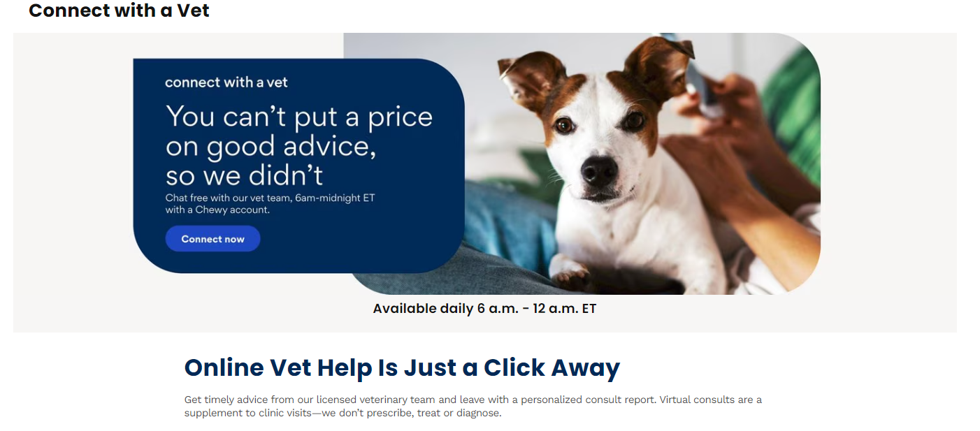 Chewy Marketing Strategy: How the Pet Retailer Redefined Growth